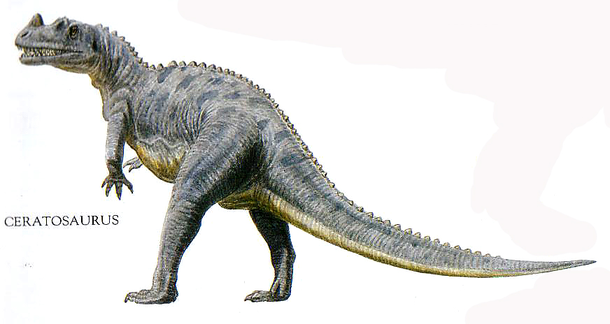Dinosaurs – SRFCOM
